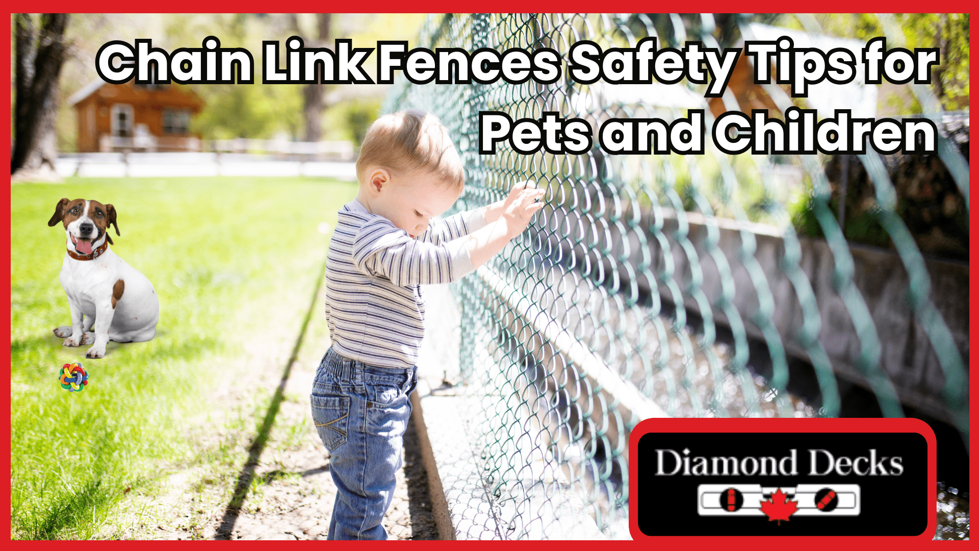 Chain Link Fences Safety Tips for Pets and Children